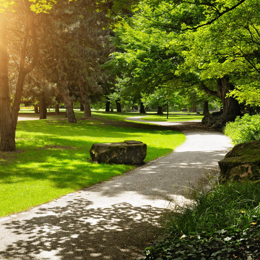 15 Amazing Parks in San Antonio - My Amusing Adventures